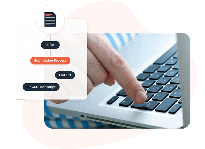 Innovia - FincenFetch